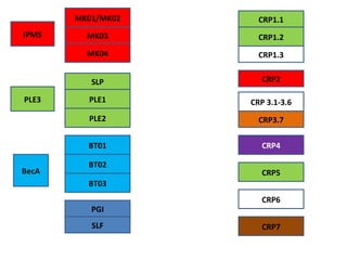 Introducing the new CGIAR structure and relations | PPT