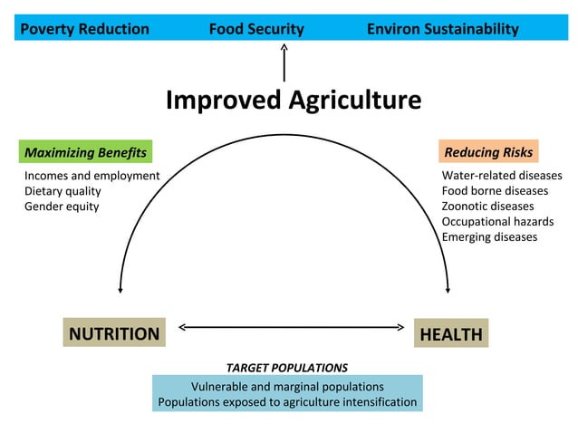 Introducing the new CGIAR structure and relations | PPT