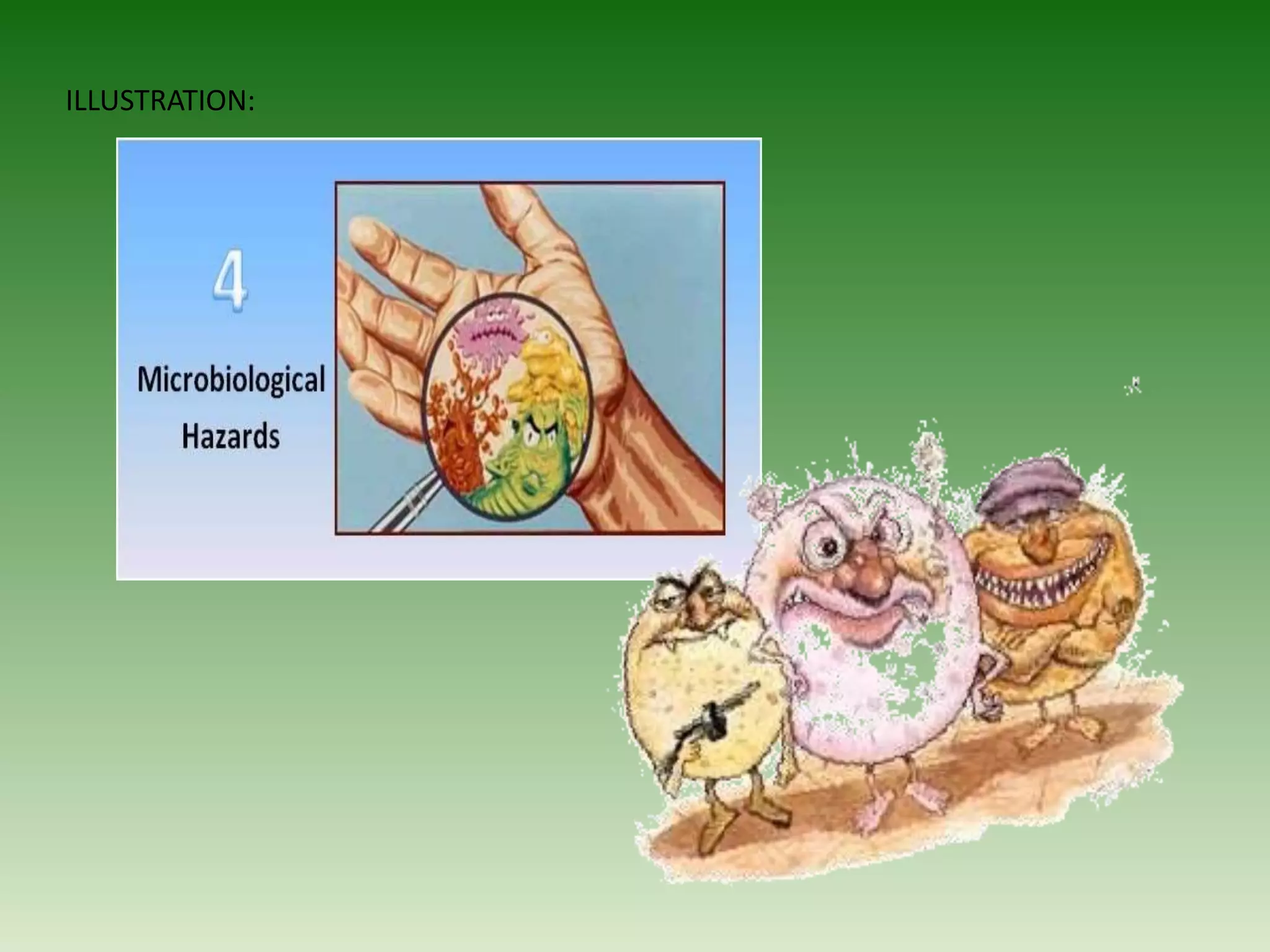 Food safety procedure.pptx