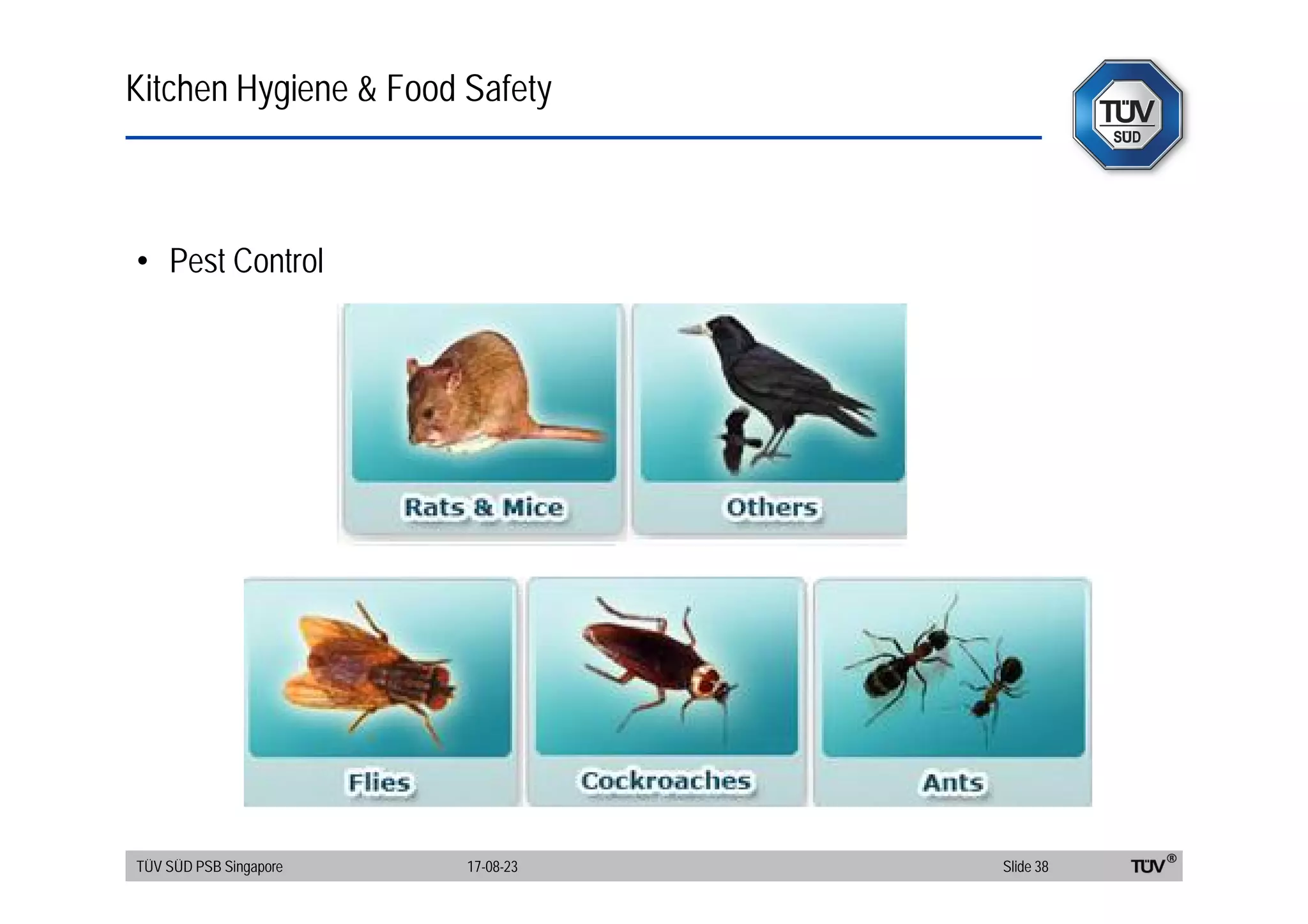 Food Safety Vietnam 2017 Ppt