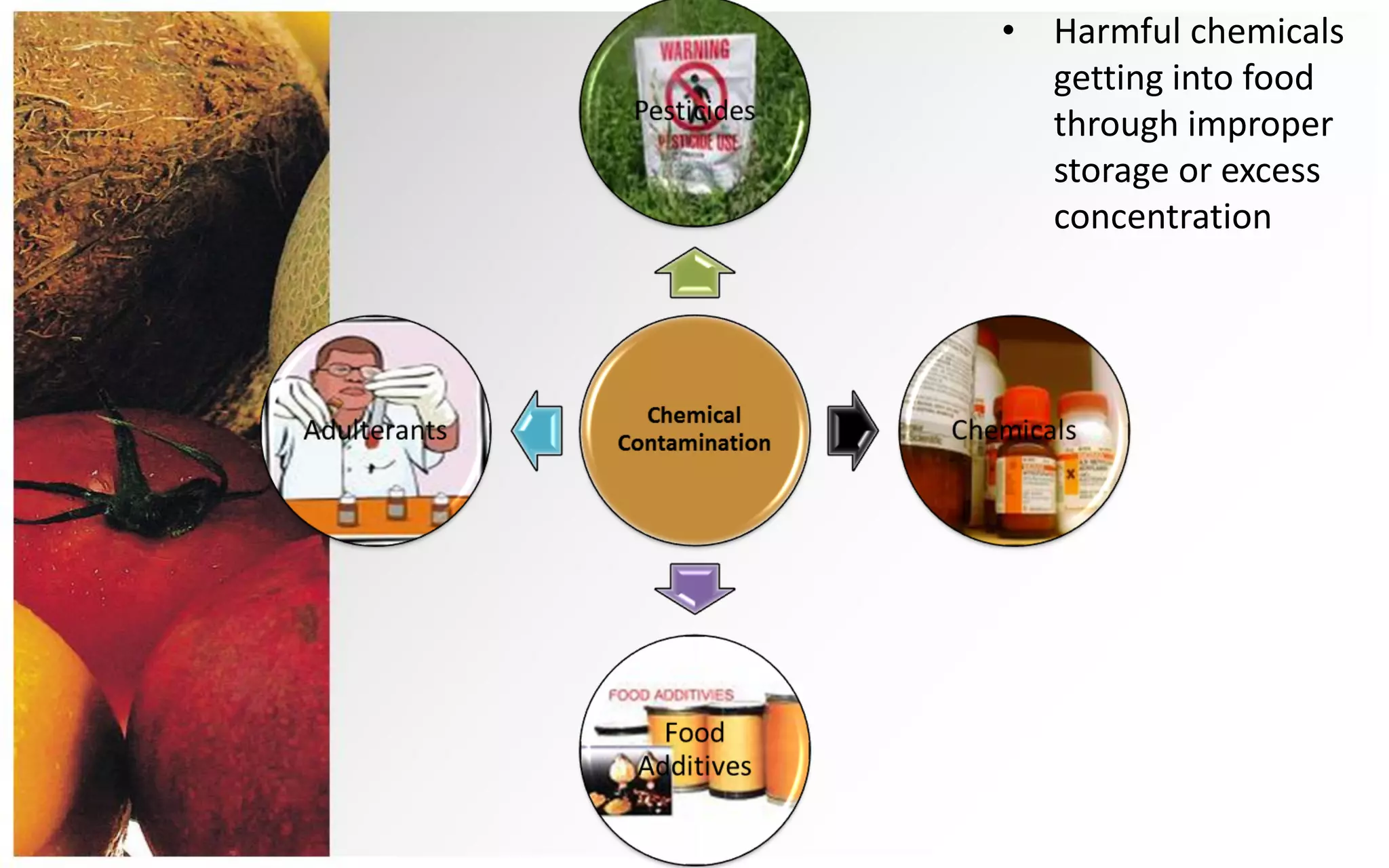 Food sanitation training | PDF