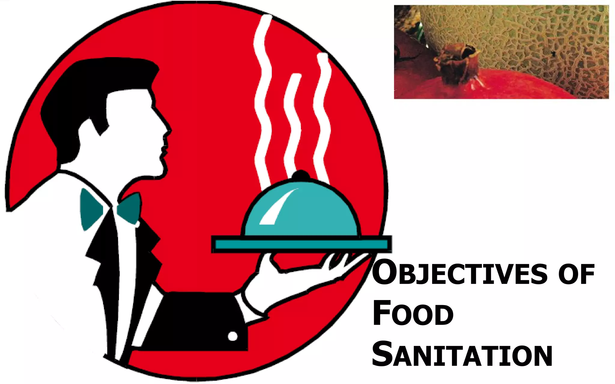 Food sanitation training | PDF