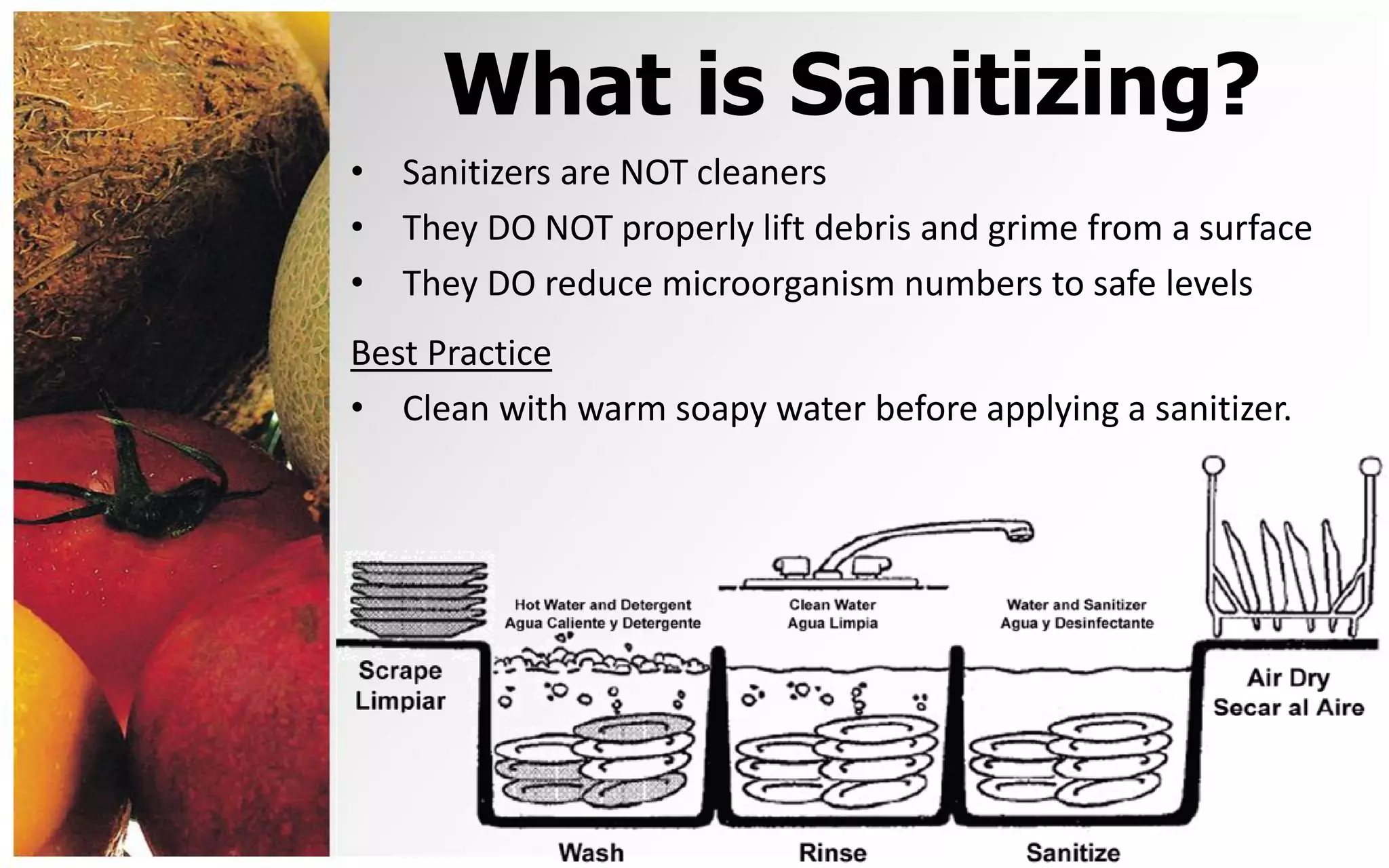 Food sanitation training | PDF