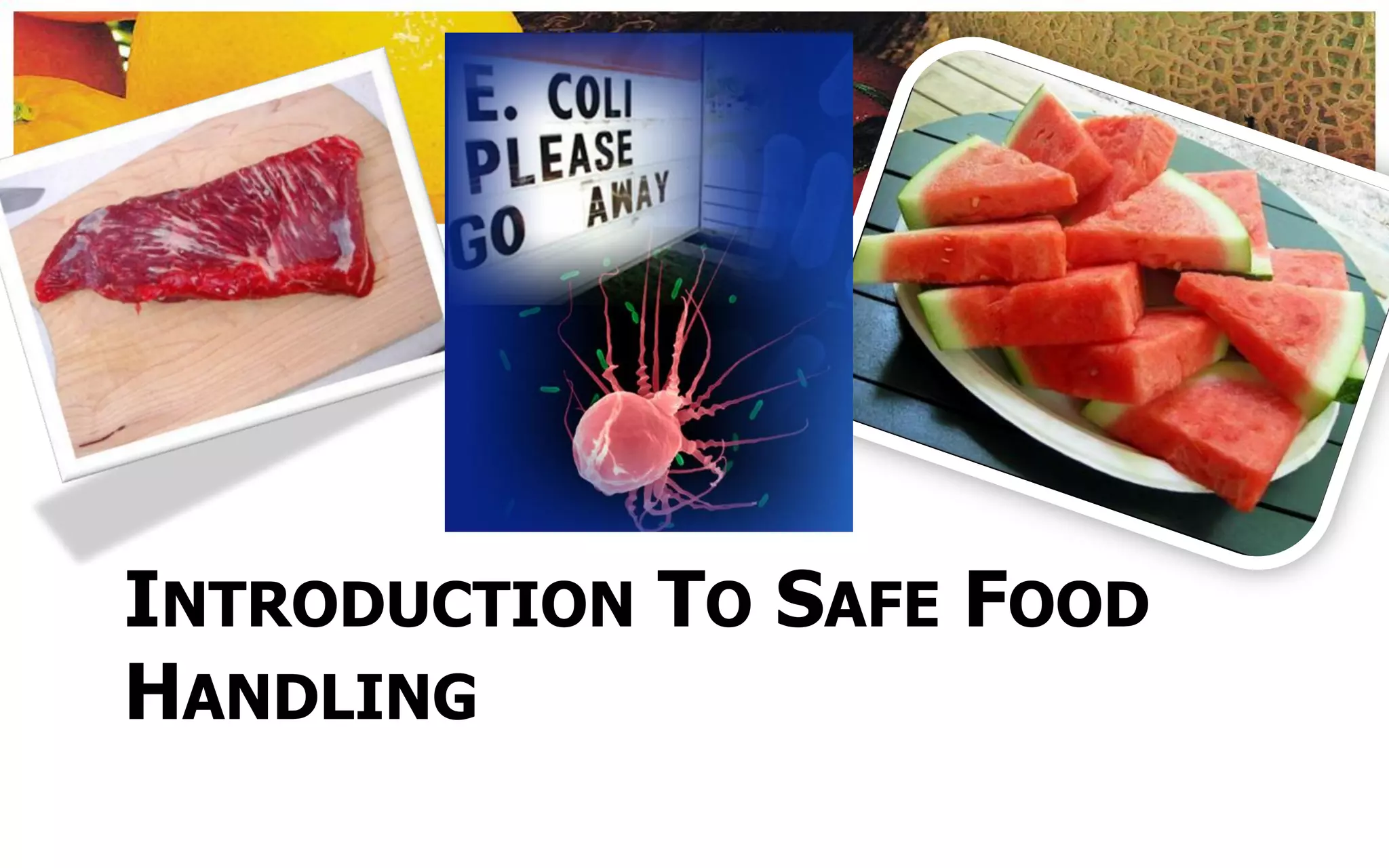 Food sanitation training | PDF