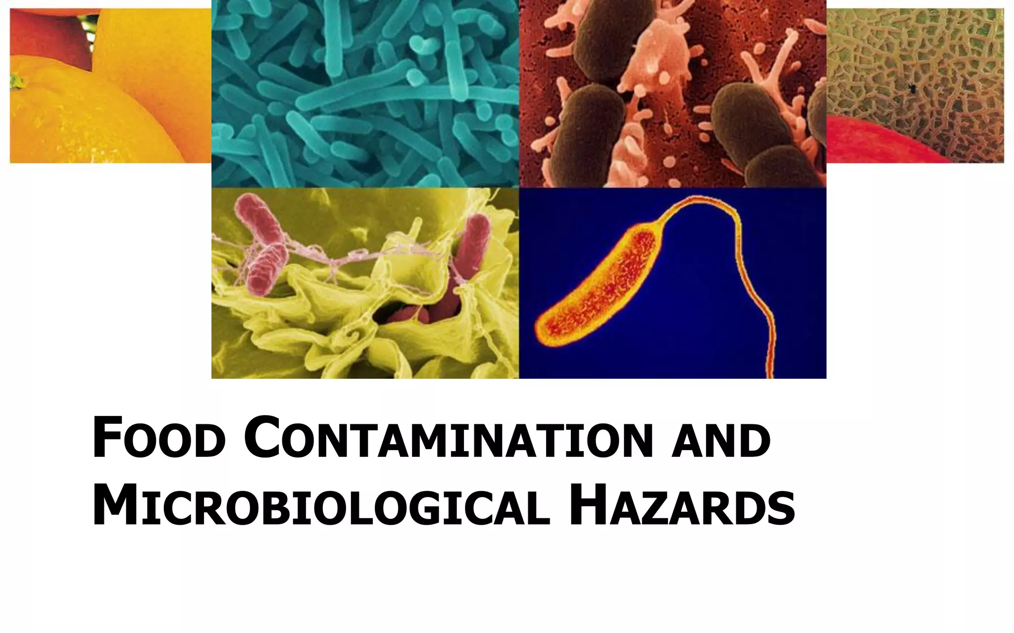 Food sanitation training | PDF