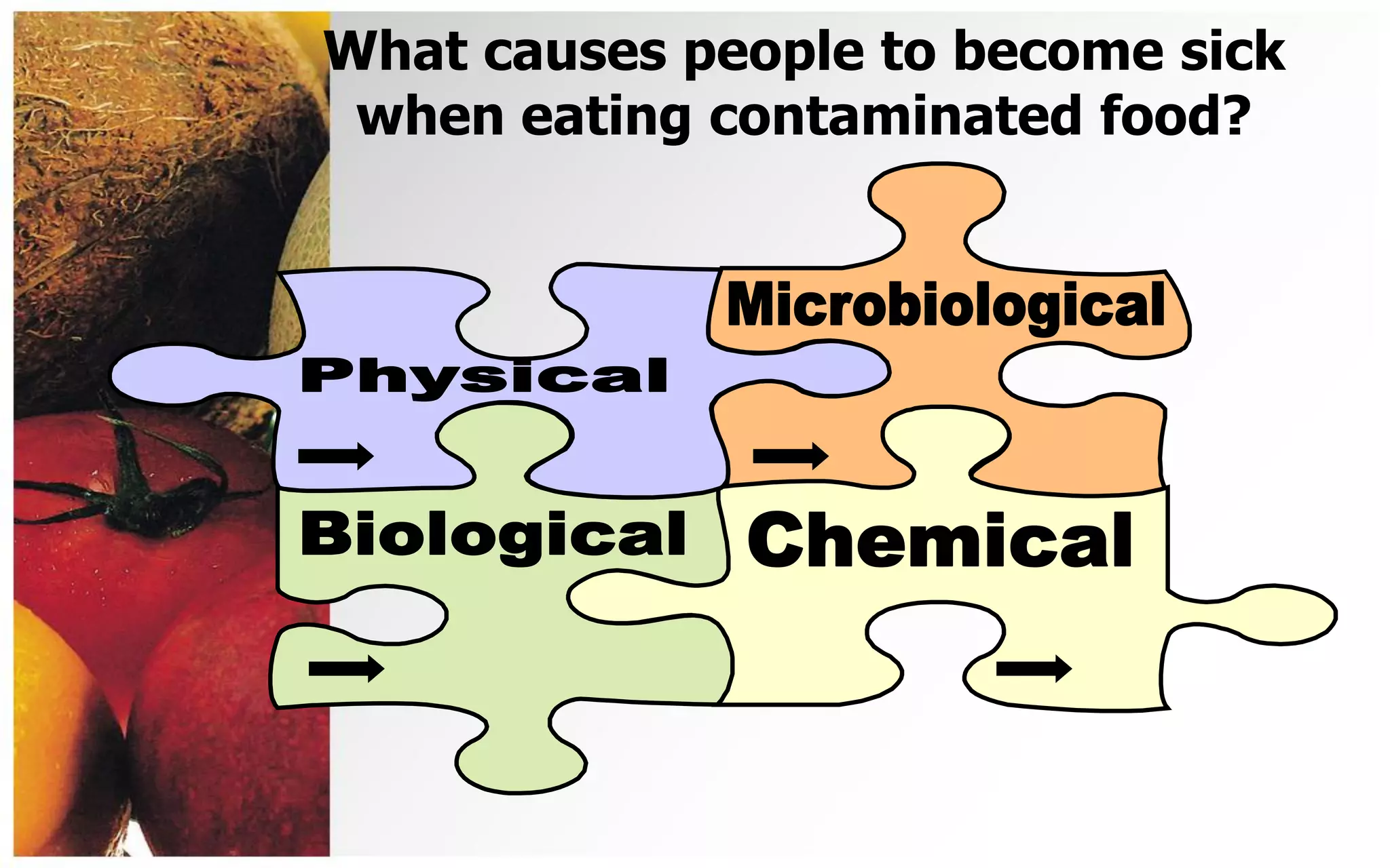 Food sanitation training | PDF