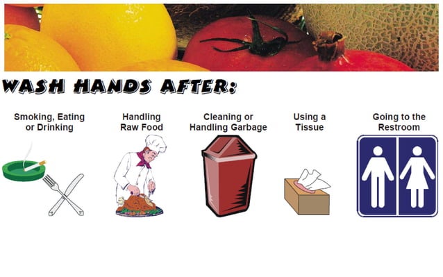 Food sanitation training | PDF