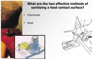 Food sanitation training | PDF
