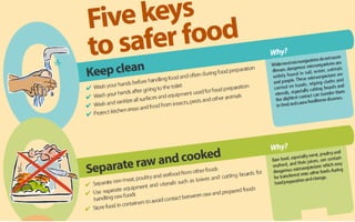 Food sanitation training | PDF