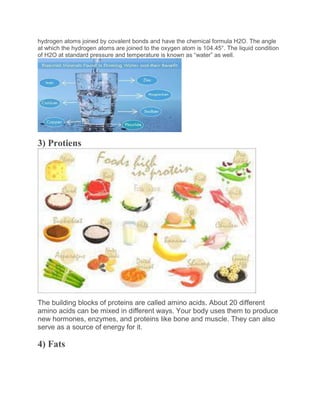 Food Science.pdf