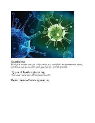 Food Science.pdf