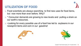 Food Science - Food Scientists.pptx