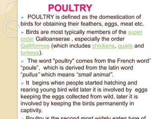 Poultry | PPTX