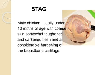 Poultry | PPTX