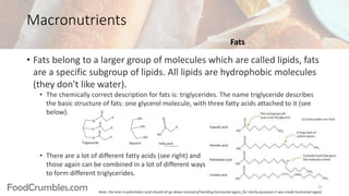 Food science basics 2 - Food Chemistry Basics | PDF