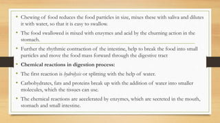 FOOD SCIENCE & NUTRITION LECTURE 1.ppt | Digestive Disorders | Diseases ...