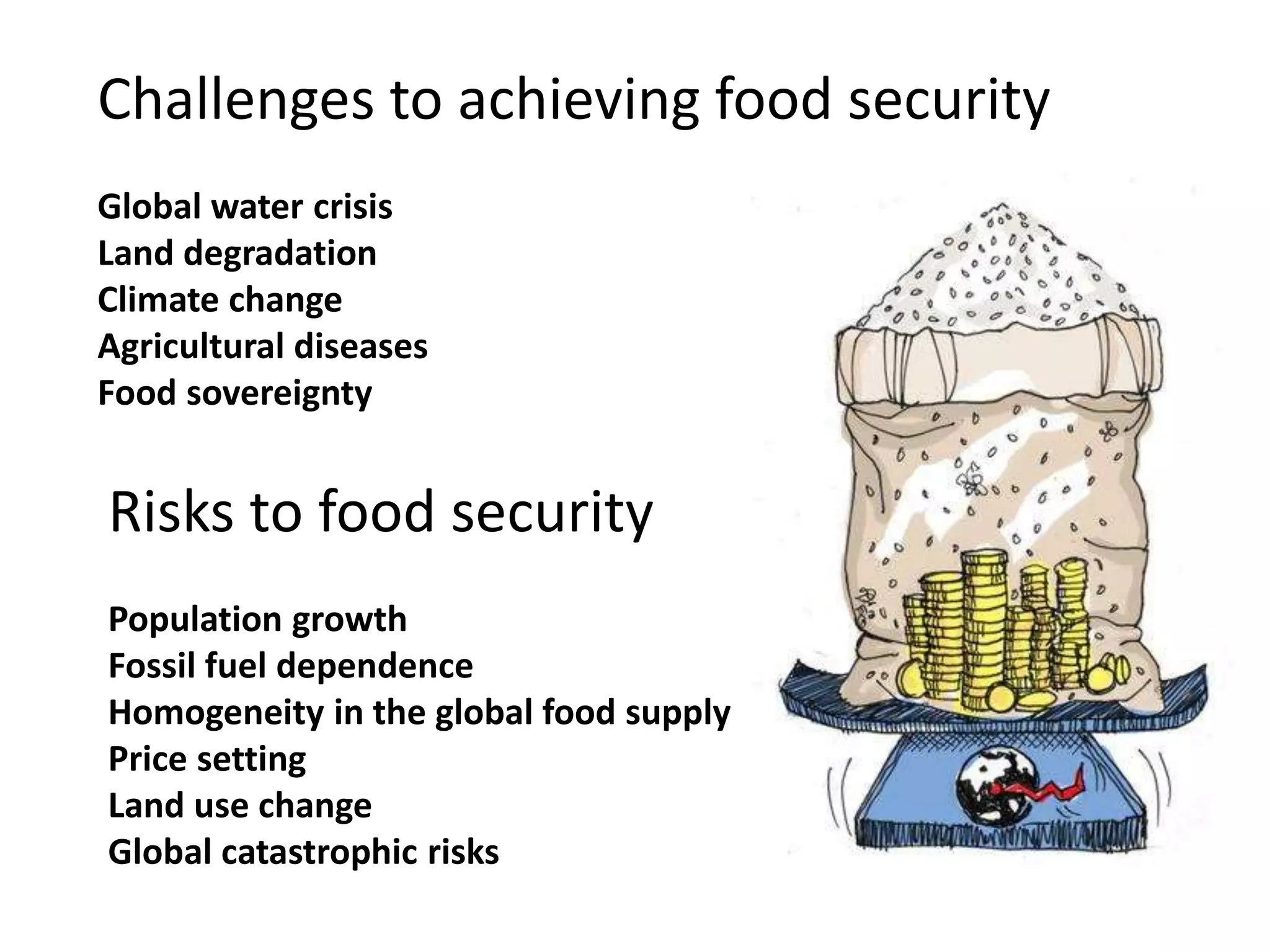 Food security | PPTX