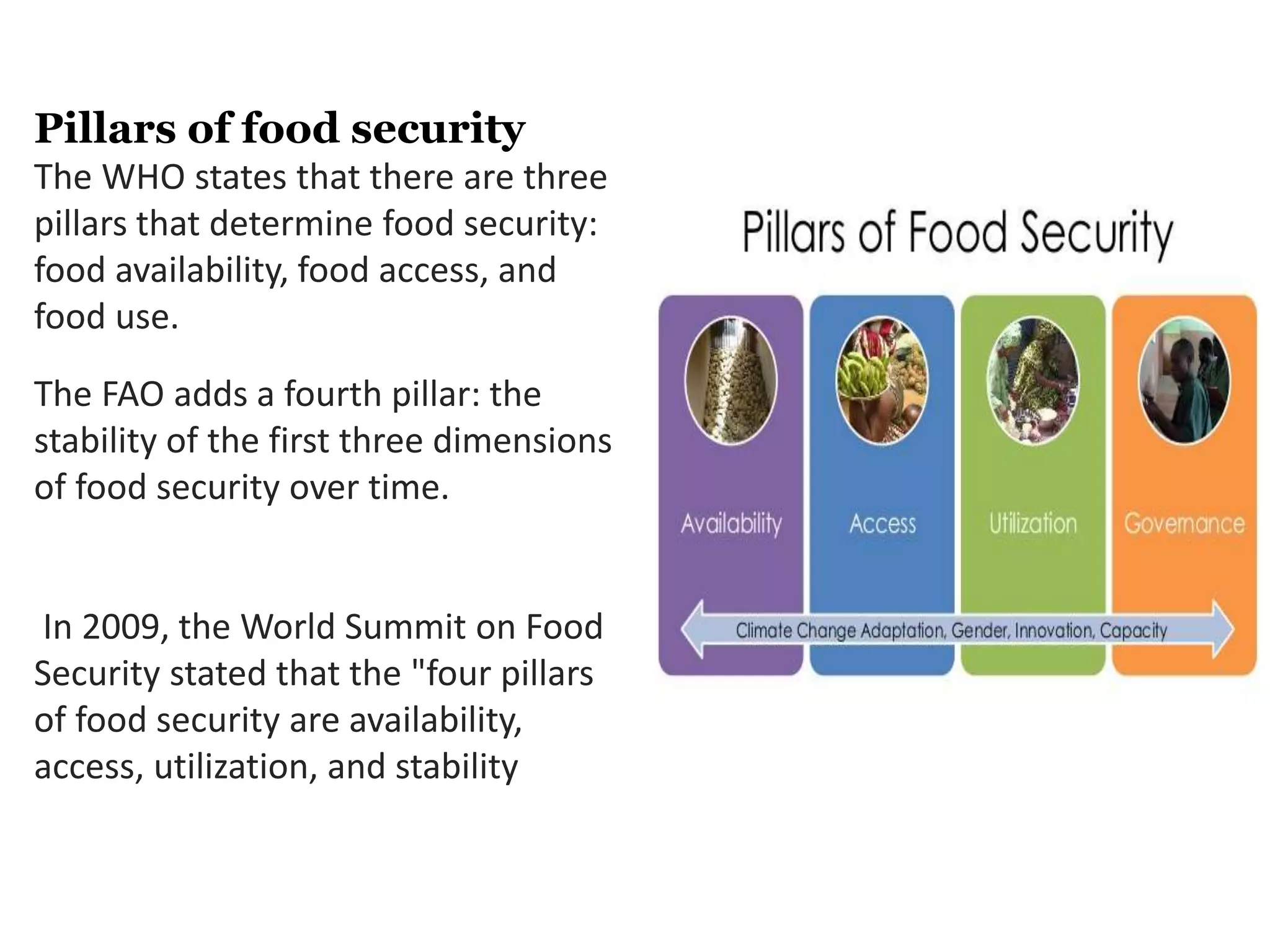 Food security | PPTX