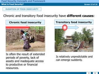 Food Security.pptx