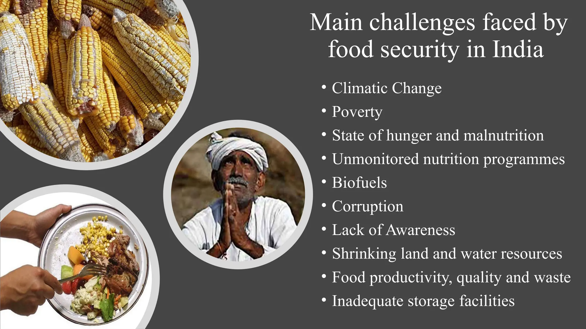 Food Security for Indian Government.pptx