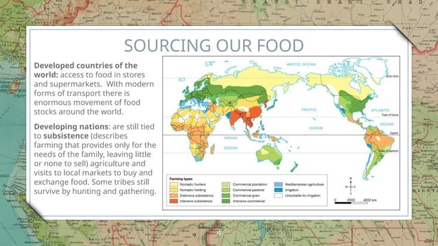 Food Security Powerpoint geography year 9 | PPTX