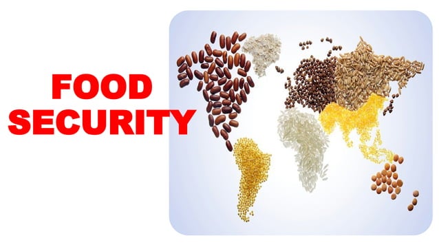 FOOD SECURITY211121174906.pptxhhhhhhhhhh | PPT