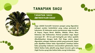 BUDIDAYA TANAMAN SAGU (METROXYLON SAGU) L | PPT