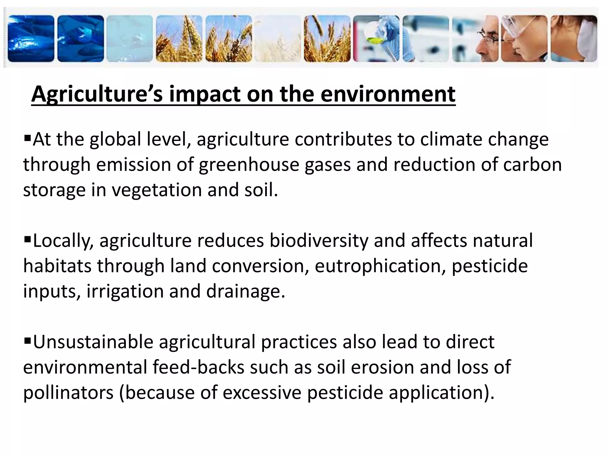 Food security and environment | PPT