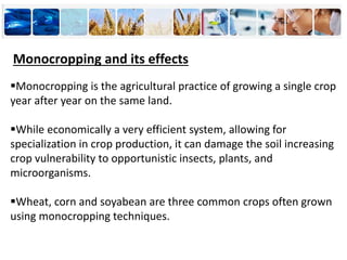 Food security and environment | PPT