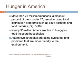 Food security and environmental degradation | PPT