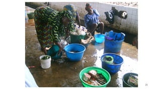 No food security without food safety: Lessons from low- and middle ...