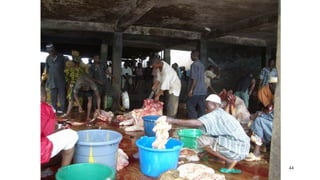 No food security without food safety: Lessons from low- and middle ...