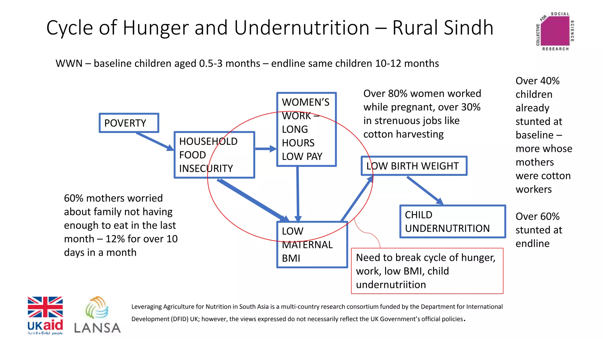 Food security, hunger & nutrition in sindh | PPTX