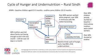 Food security, hunger & nutrition in sindh | PPTX