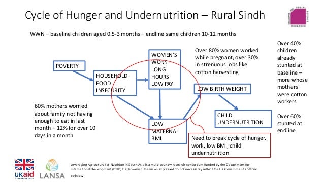 Food security, Hunger and Nutrition in Sindh