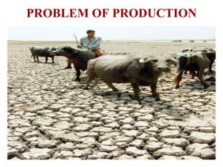 Food Security In India (Class Ix) | PPT