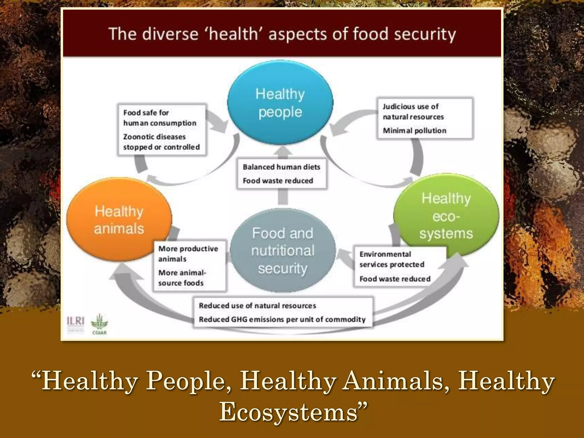 Food Security | PPSX