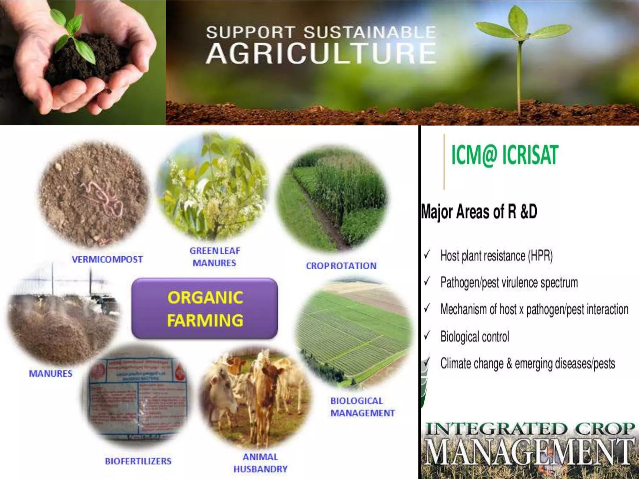 Food security and mineral resources conservation | PPTX | Agriculture ...