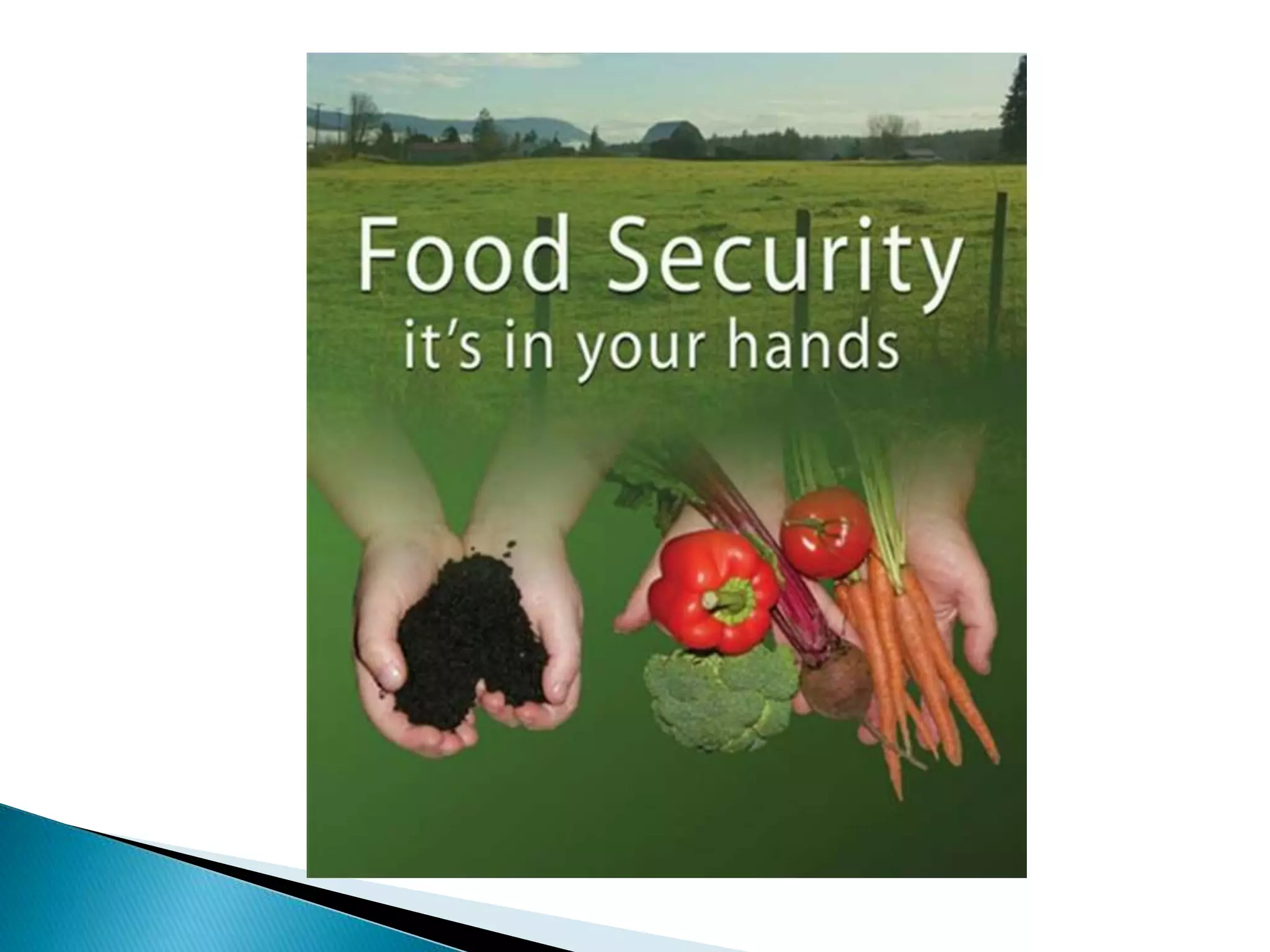 Food security and mineral resources conservation | PPT