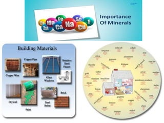Food security and mineral resources conservation | PPT