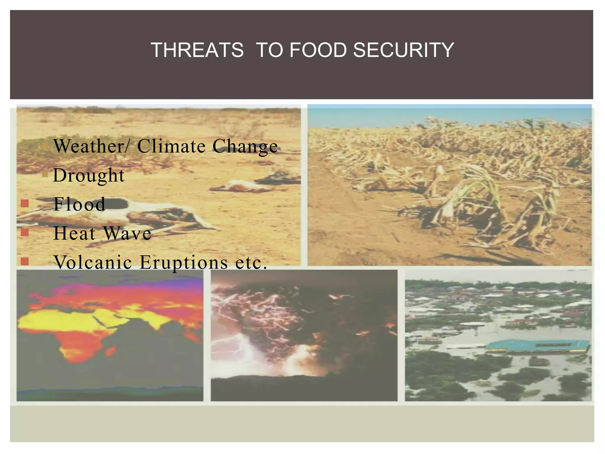 Food security powerpoint | PPTX