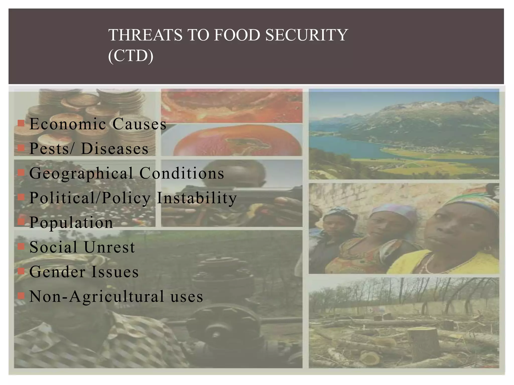 Food security powerpoint | PPTX