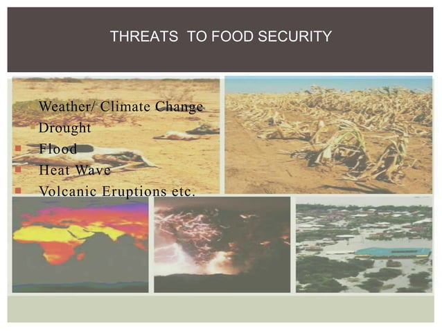 Food security powerpoint | PPTX