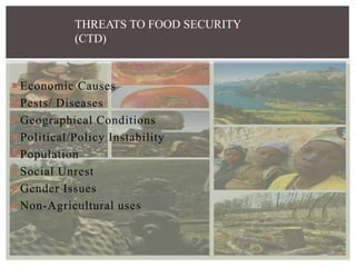 Food security powerpoint | PPTX