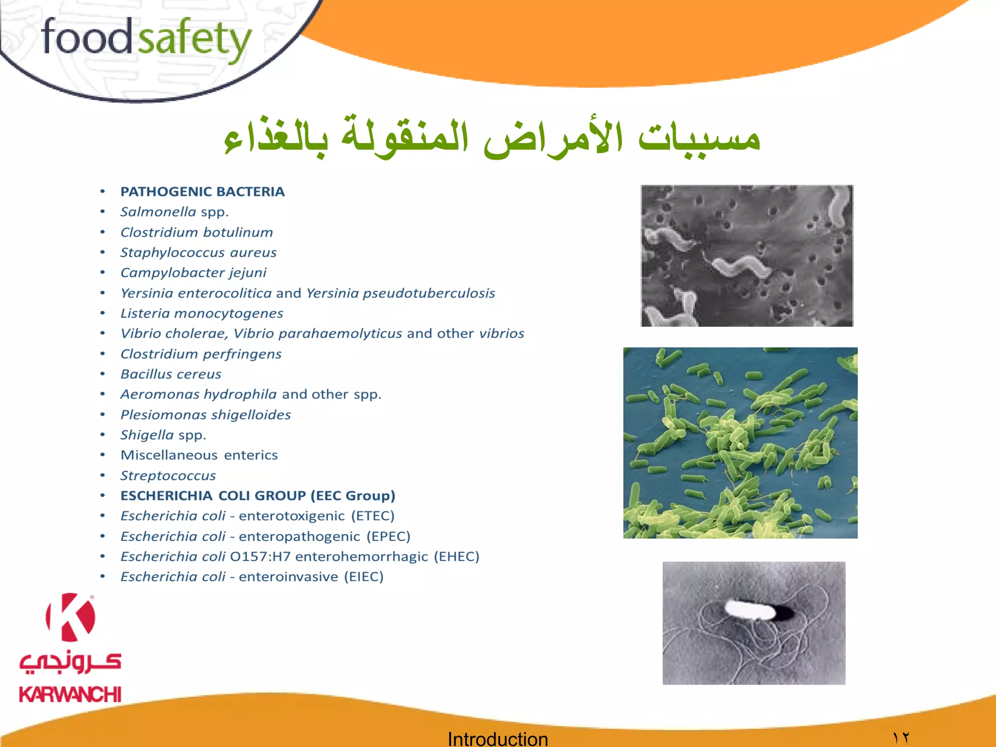 Food Safety Training | PDF