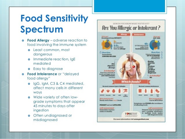Food Sensitivities Nutrition Seminar Presentation by Laura Bartron