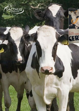 Lactalis Food Service Brochure 2016 | PDF