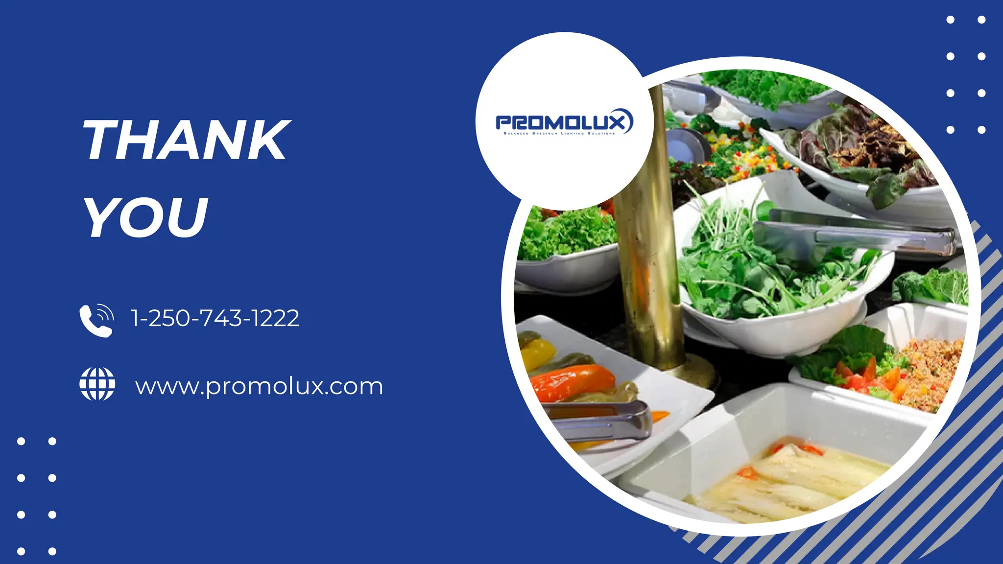 Food Service Display Lighting by Promolux | PDF