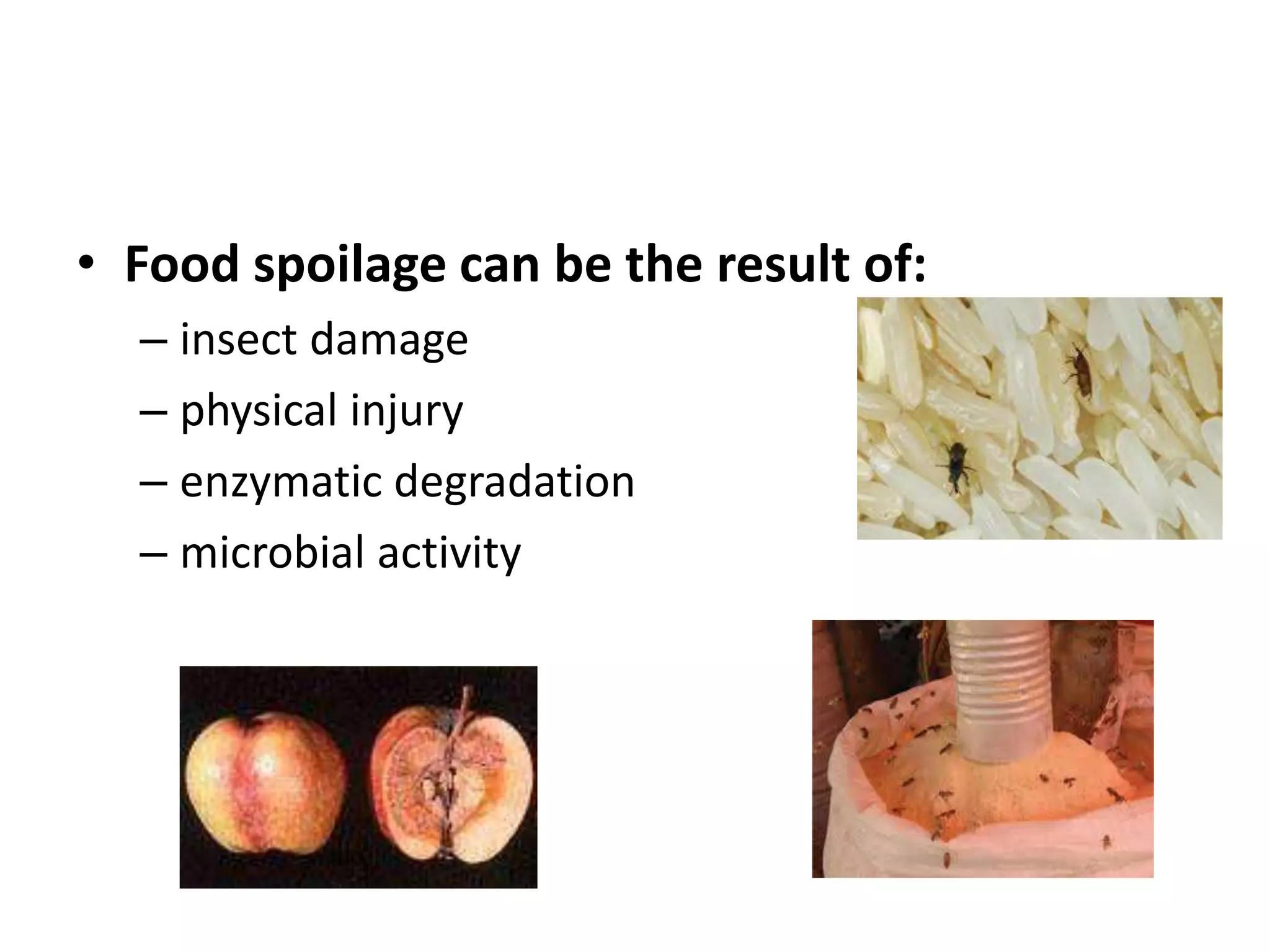 Food spoilage | PPTX