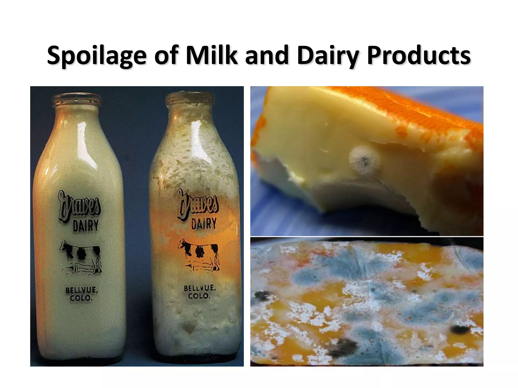 Food spoilage | PPTX